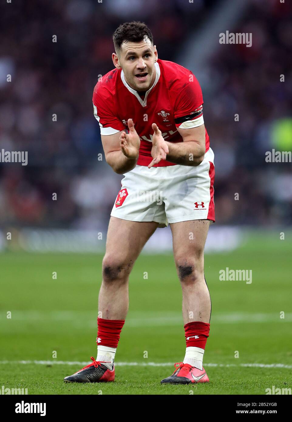 Wales Tomos Williams High Resolution Stock Photography and Images - Alamy