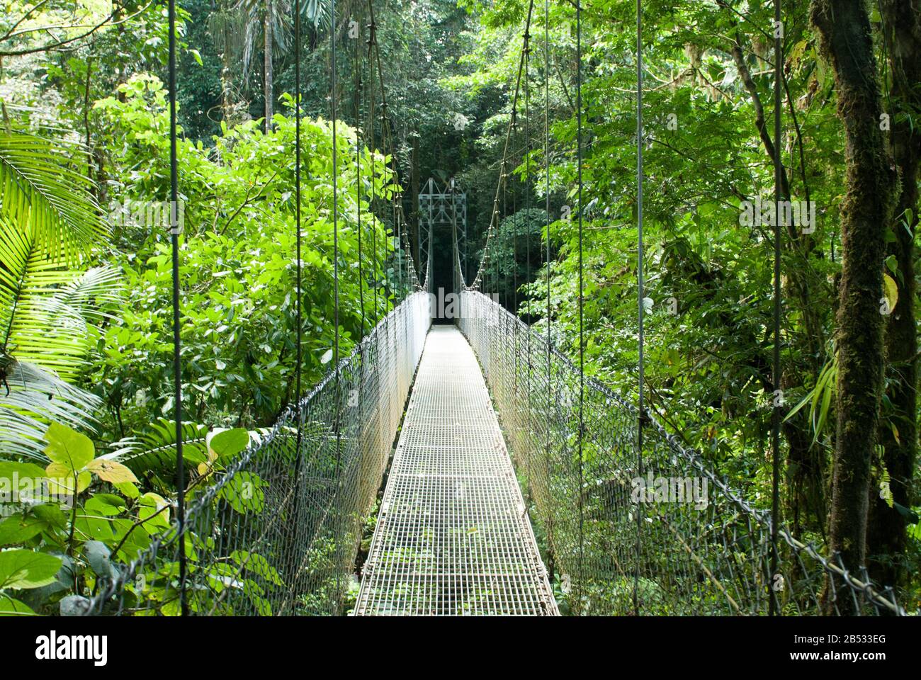 Wildlife crossing bridge hi-res stock photography and images - Alamy