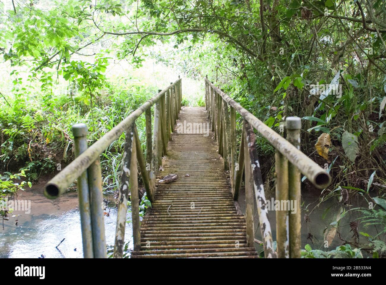 Wildlife crossing bridge hi-res stock photography and images - Alamy
