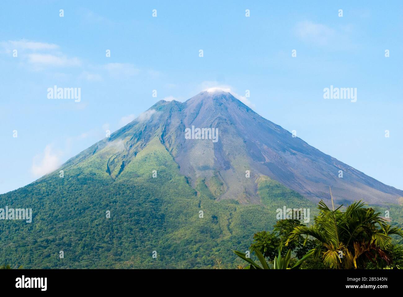 Arenal volcano wildlife hi-res stock photography and images - Alamy