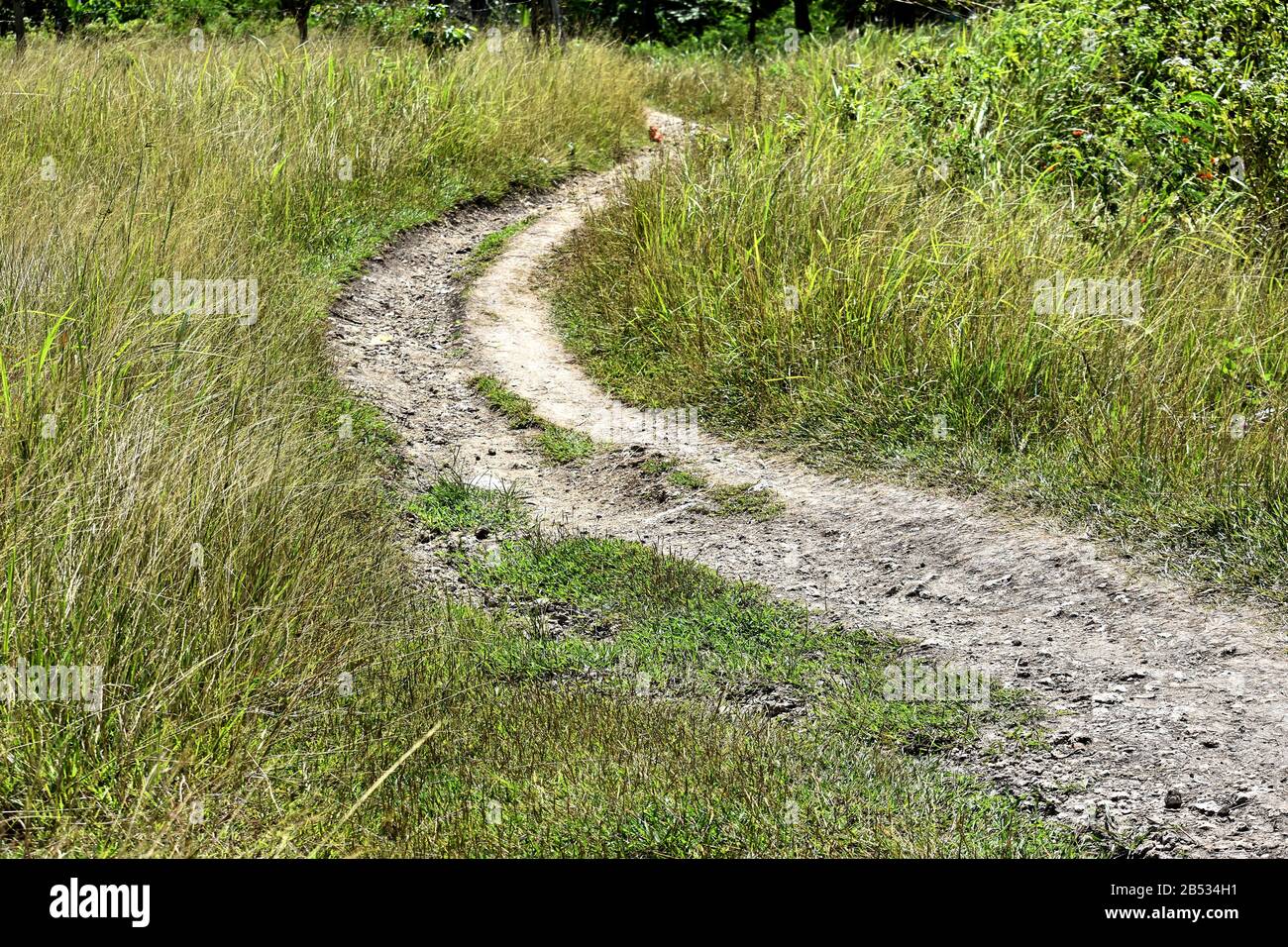 A Curve Shaped Dirt Path Stock Photo - Alamy