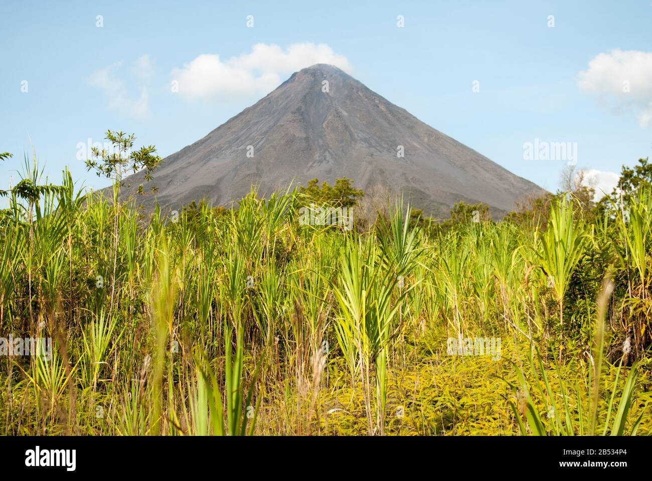 Arenal volcano wildlife hi-res stock photography and images - Alamy