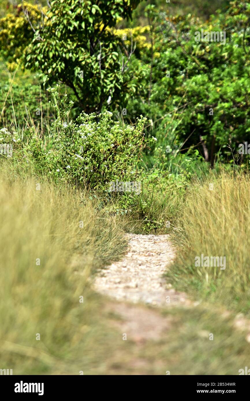 Dirt footpaths hi-res stock photography and images - Alamy