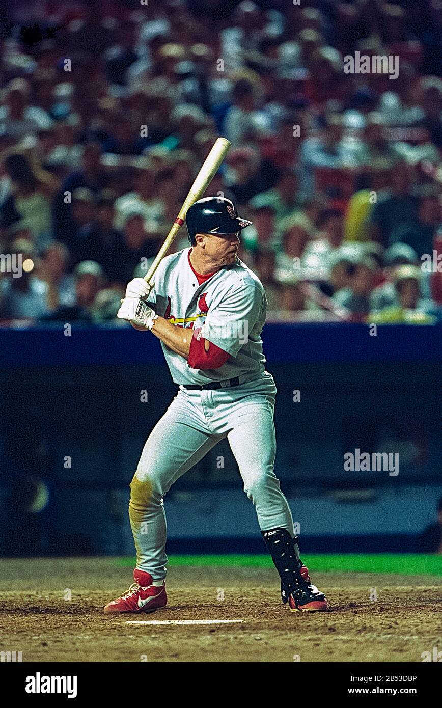 Mark McGwire, St. Louis Cardinals during the home run record breaking ...