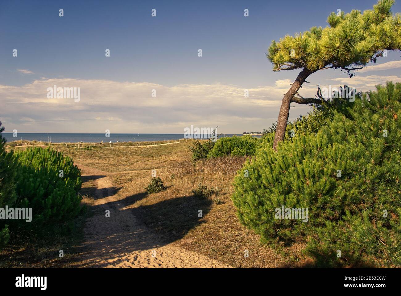 Walkway leading beach scene hi-res stock photography and images - Alamy