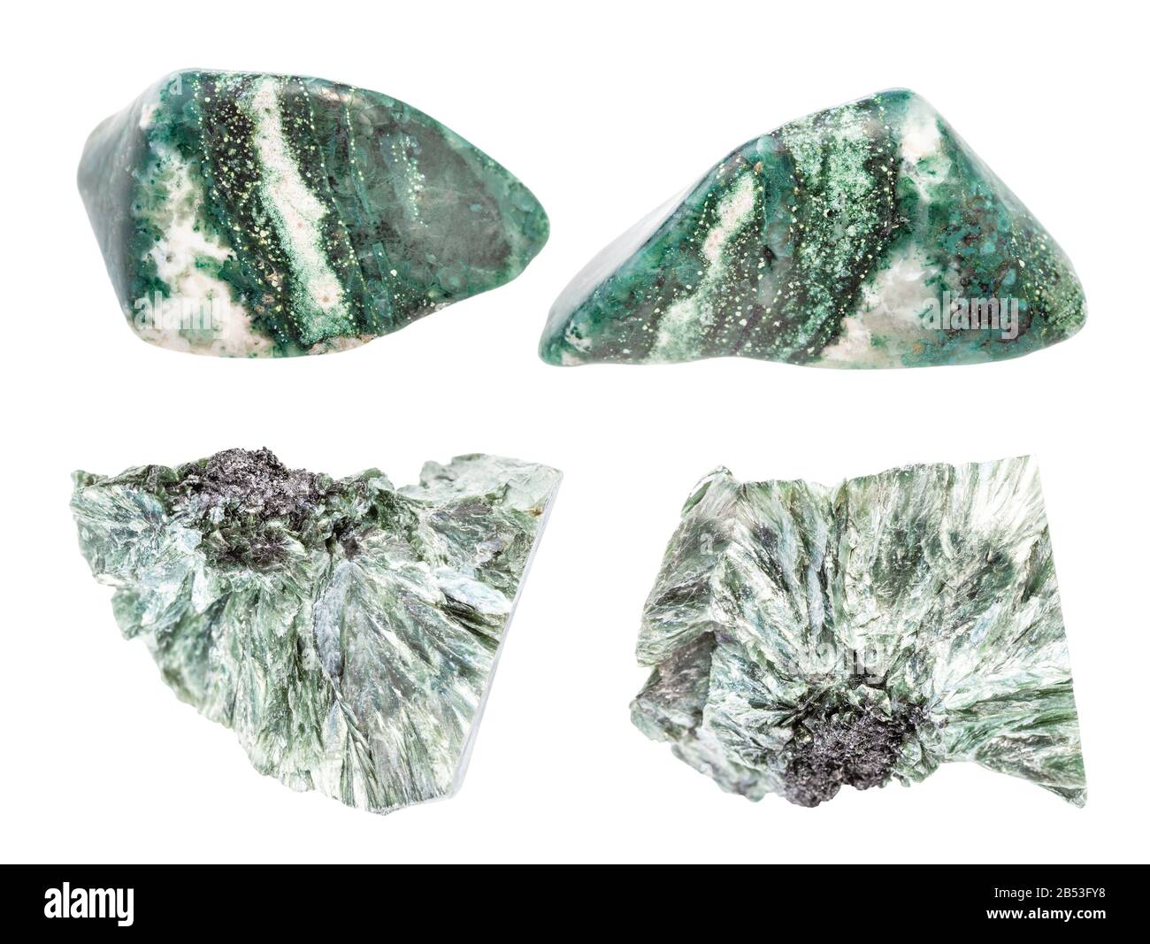 set of various Chlorite rocks isolated on white background Stock Photo ...