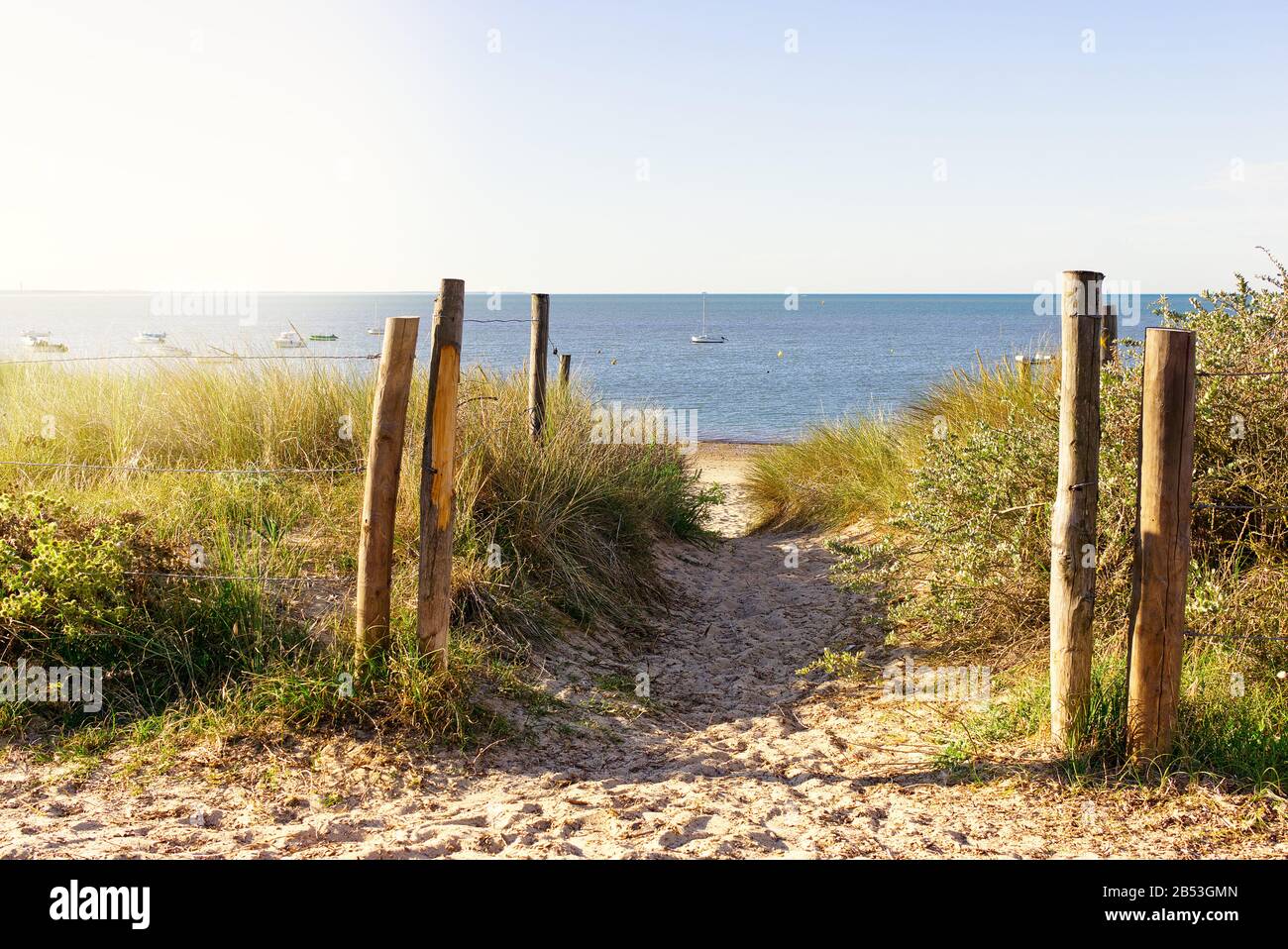 Path leading to the beach with the sea in background Stock Photo - Alamy