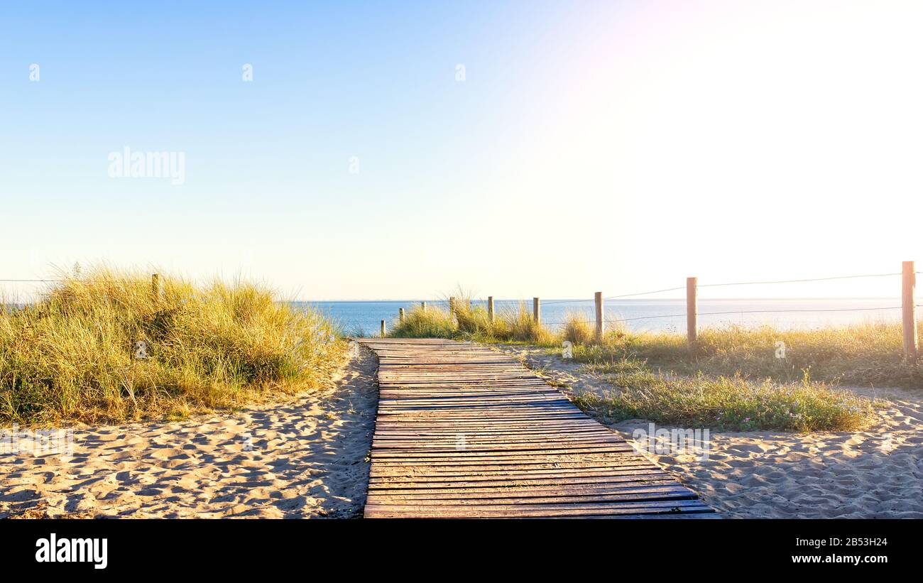 Path leading to the beach with the sea in background Stock Photo - Alamy