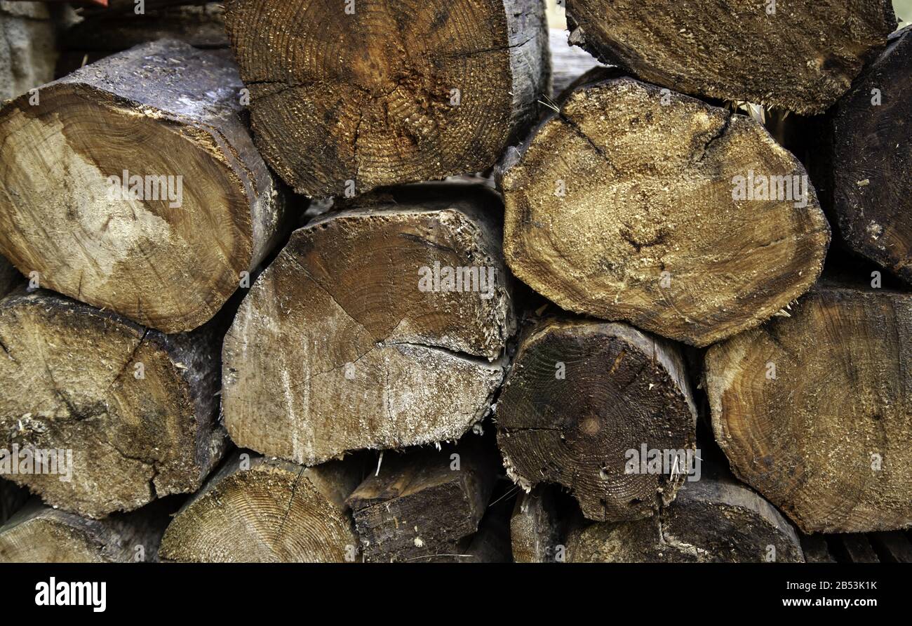 Stacked wood logs for firewood, nature and recycling Stock Photo - Alamy
