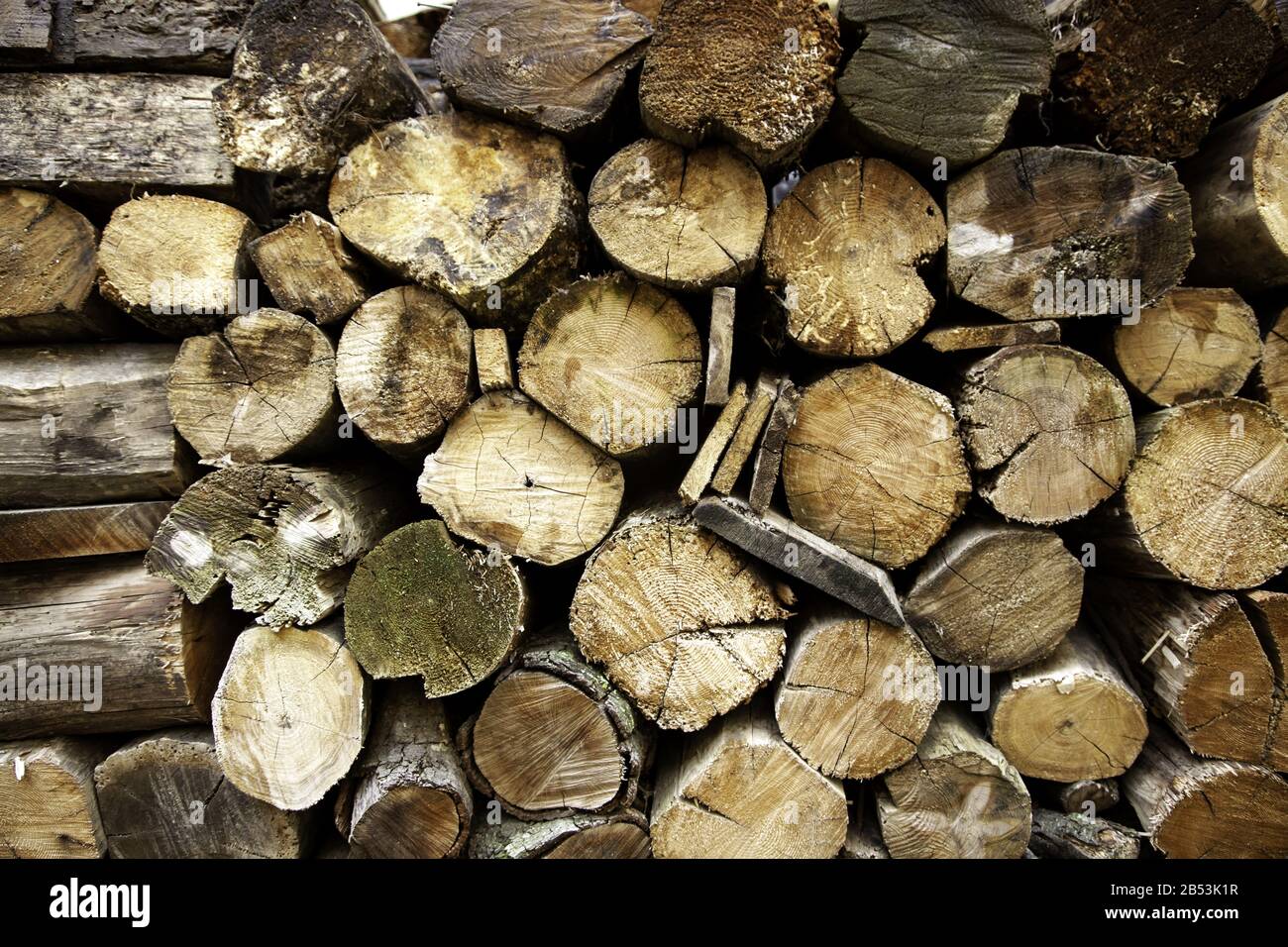 Stacked wood logs for firewood, nature and recycling Stock Photo - Alamy