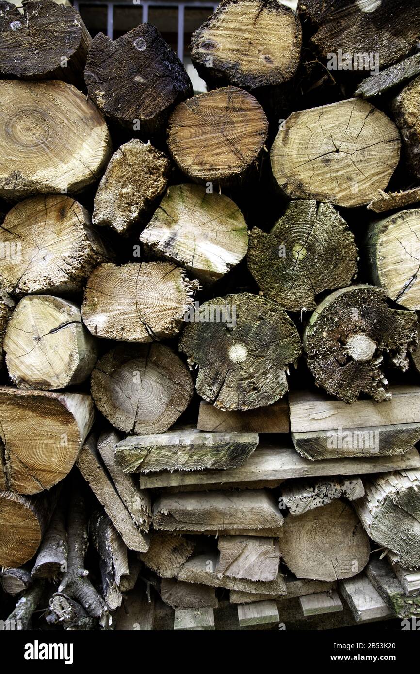 Stacked wood logs for firewood, nature and recycling Stock Photo - Alamy