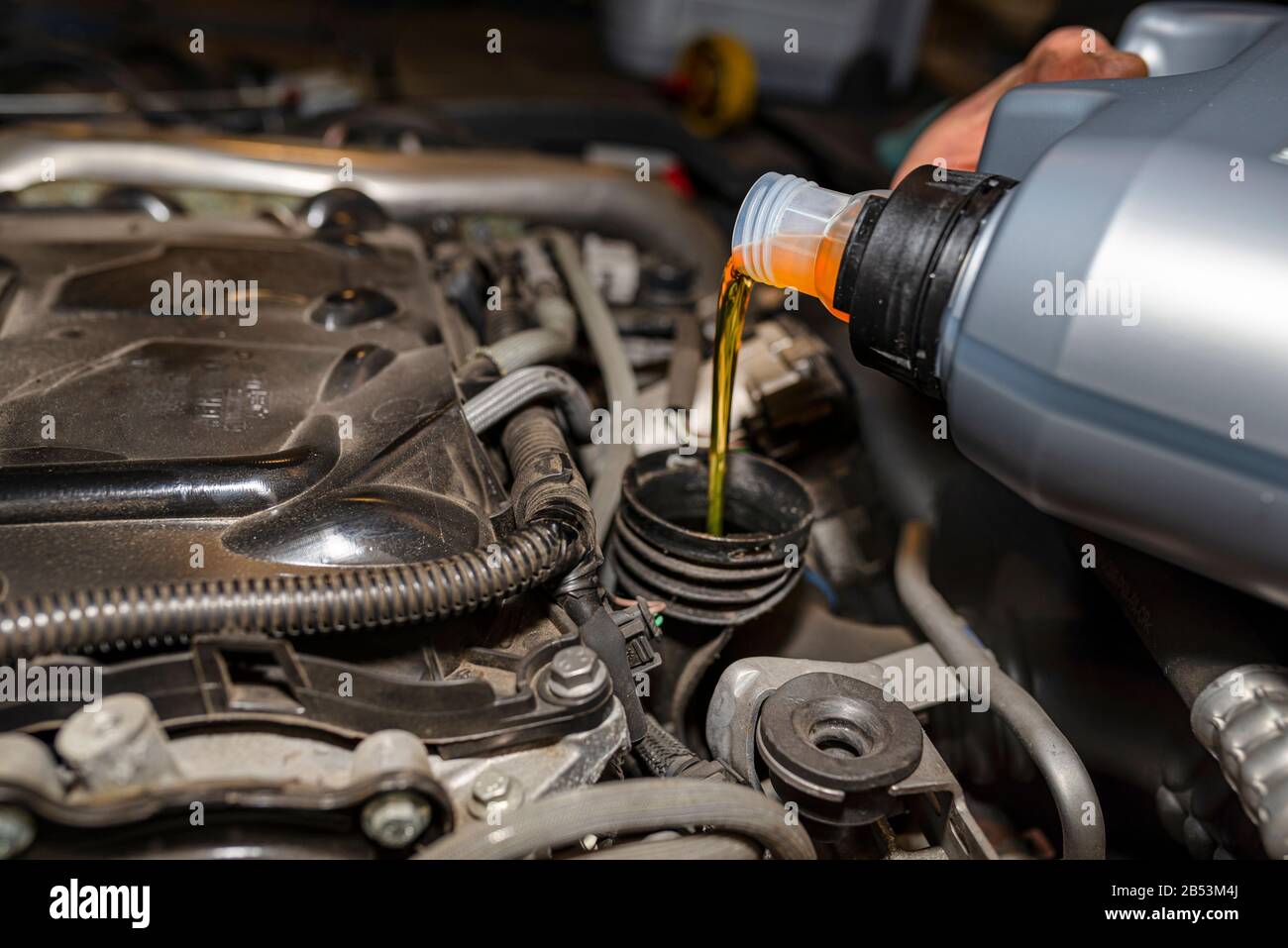 Car mechanic pours new car oil into the engine from a plastic tank in a ...