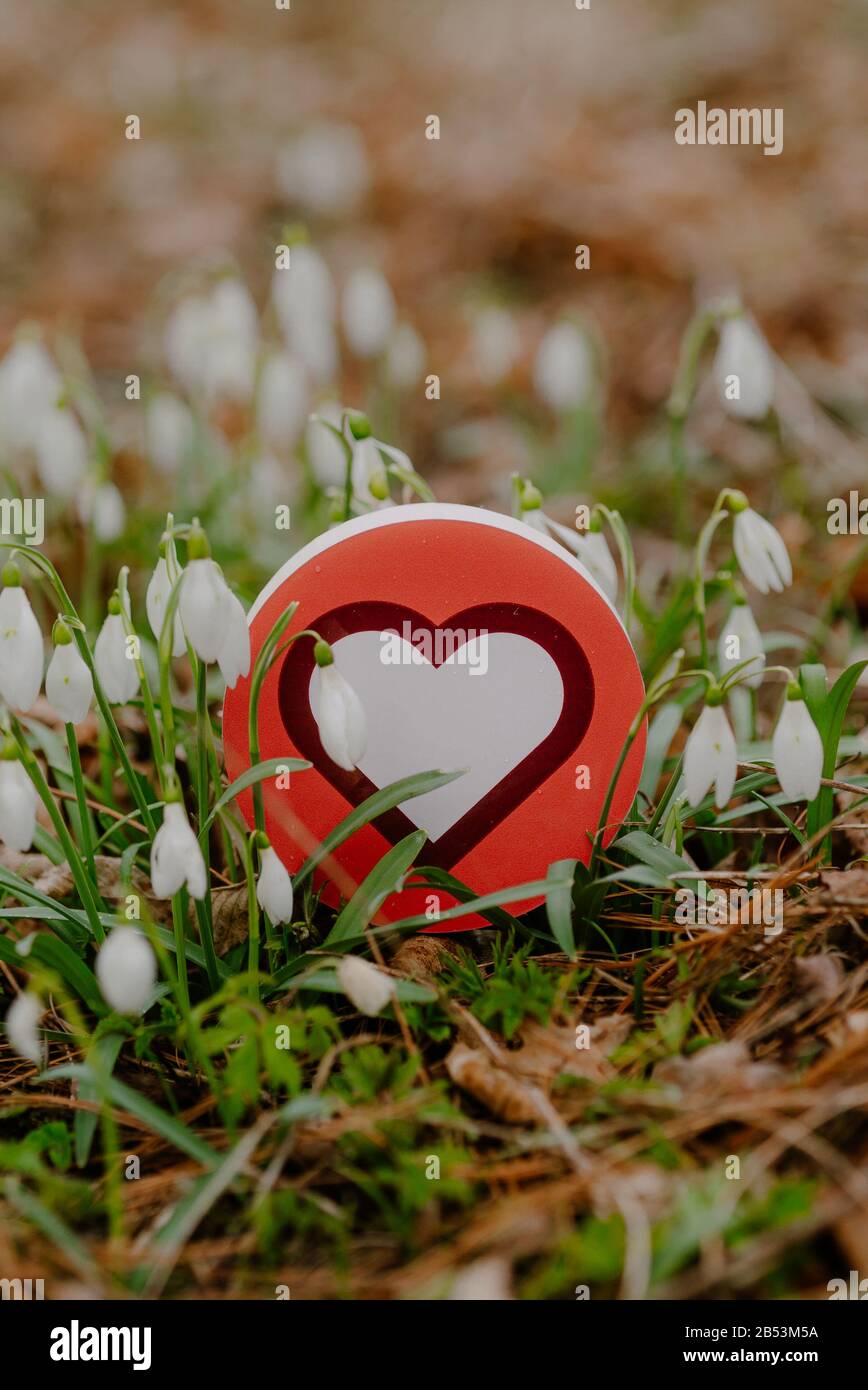 heart symbol surrounded by spring flowers Stock Photo - Alamy