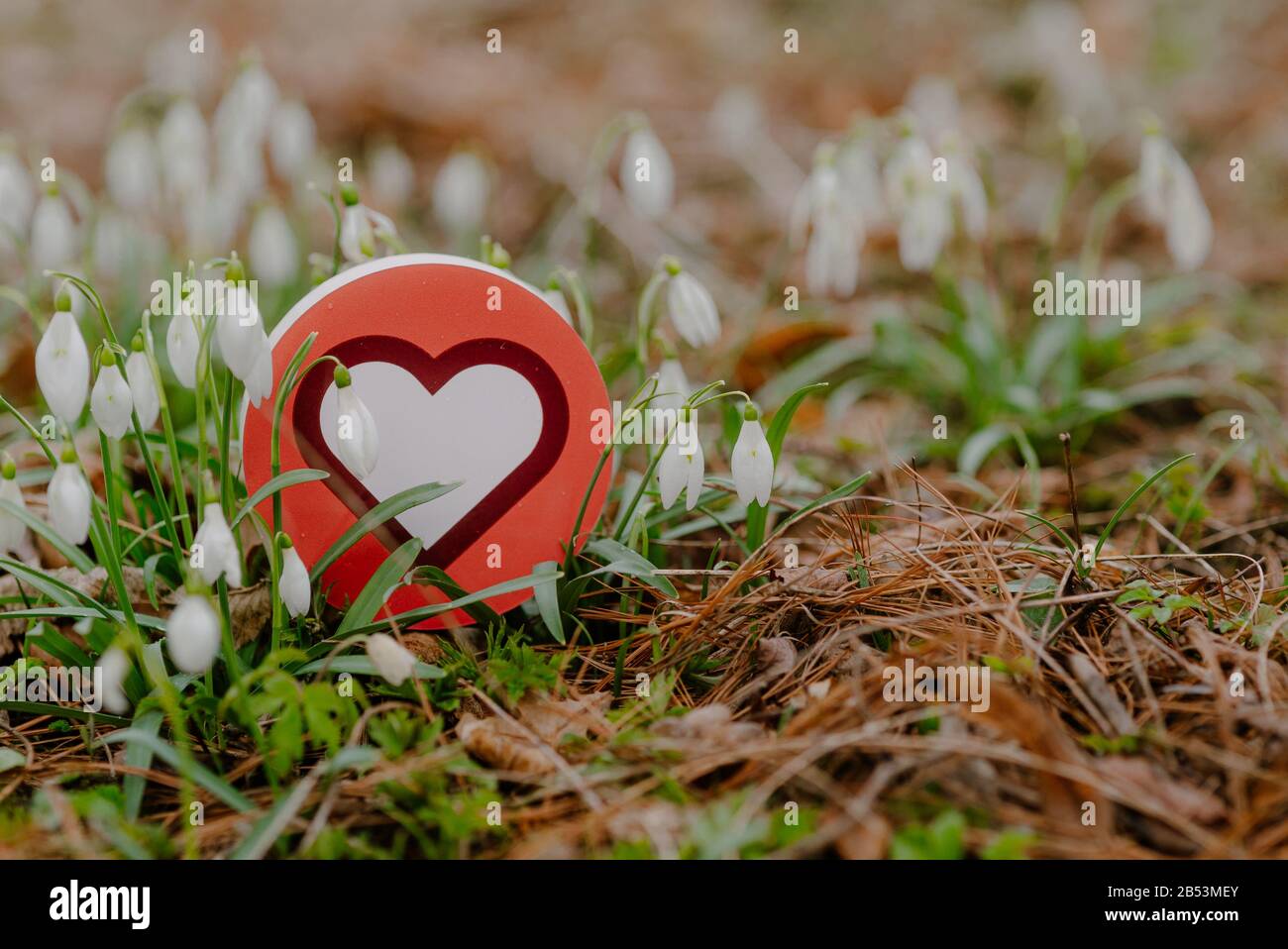 Symbol of the spring hi-res stock photography and images - Alamy