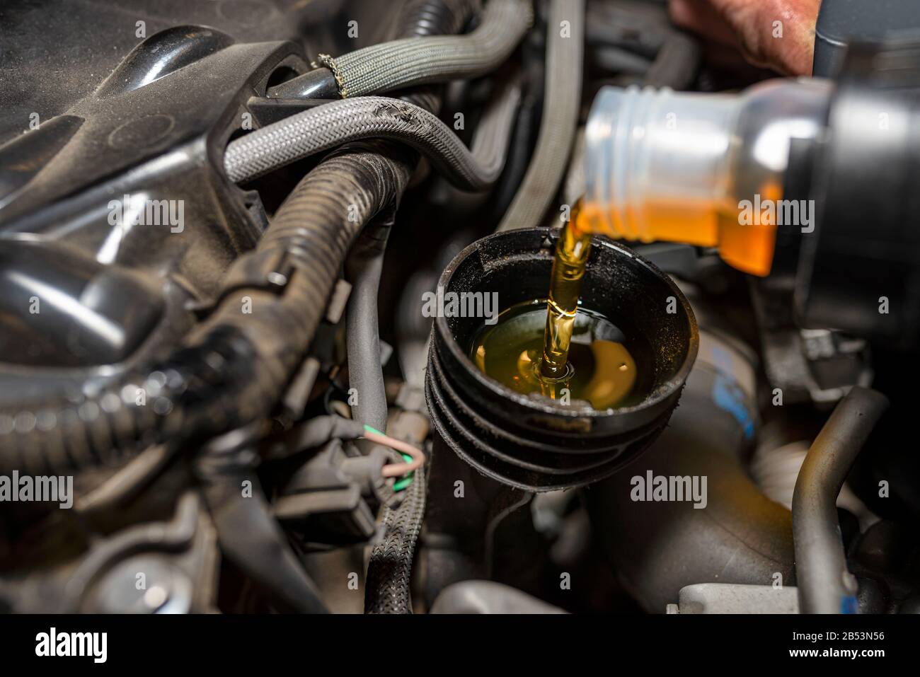Car mechanic pours new car oil into the engine from a plastic tank in a ...