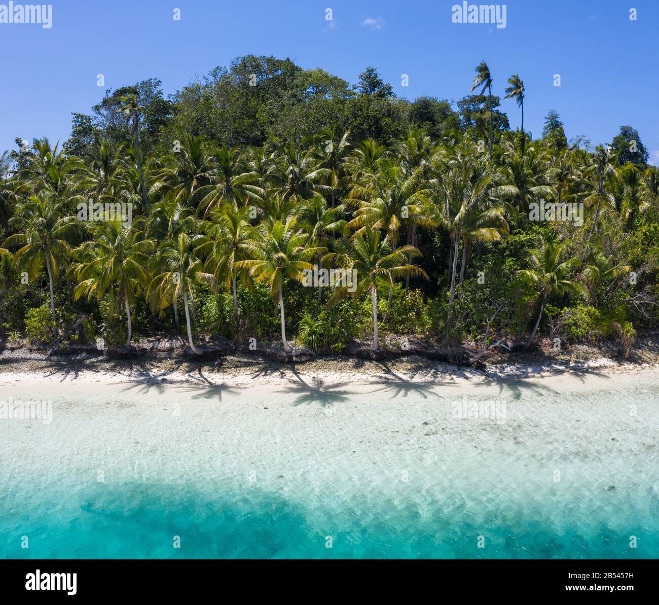 Aerial view palm trees in hi-res stock photography and images - Alamy