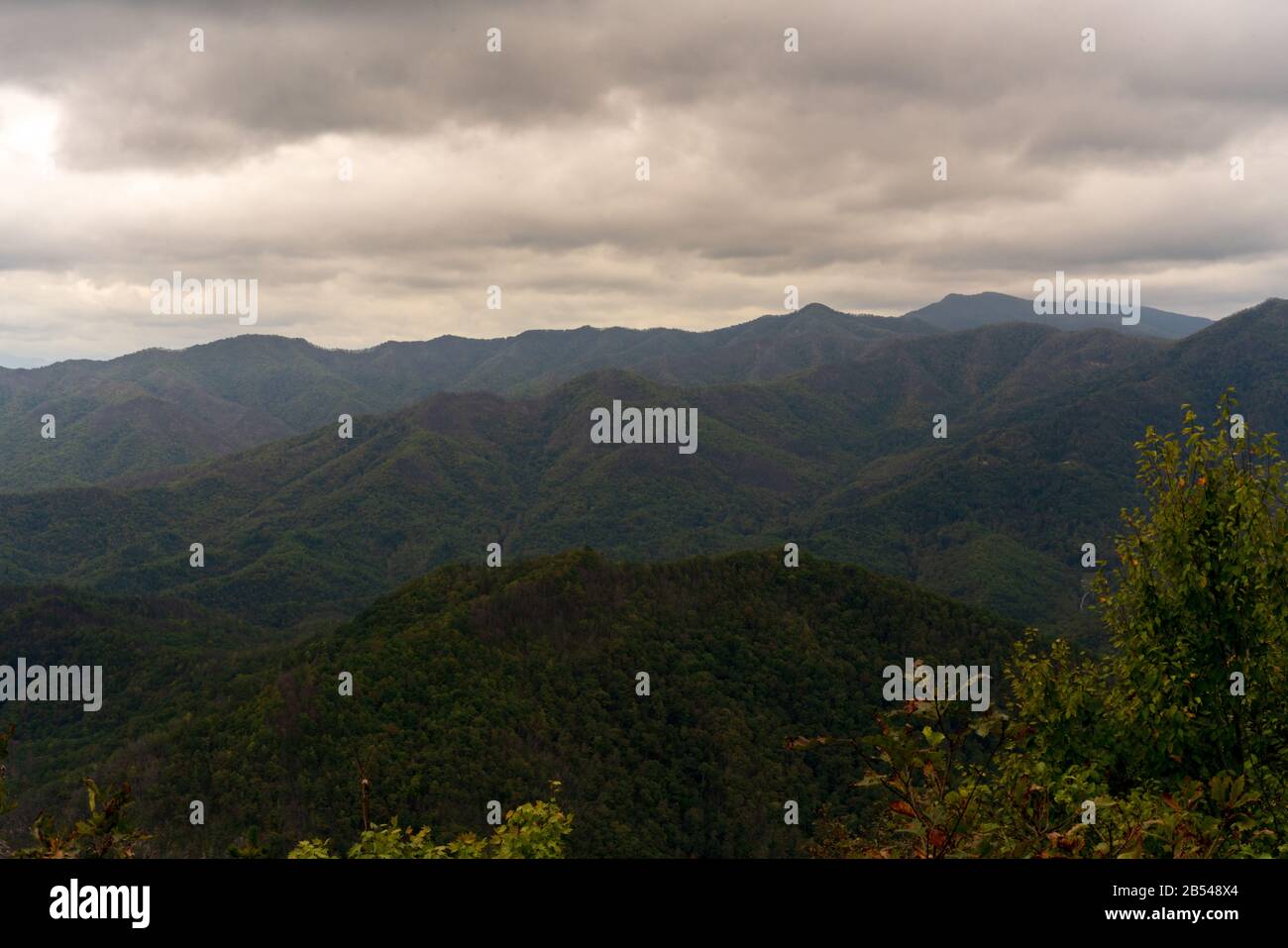 Hiking on the Appalachian Trail in Virginia Stock Photo - Alamy