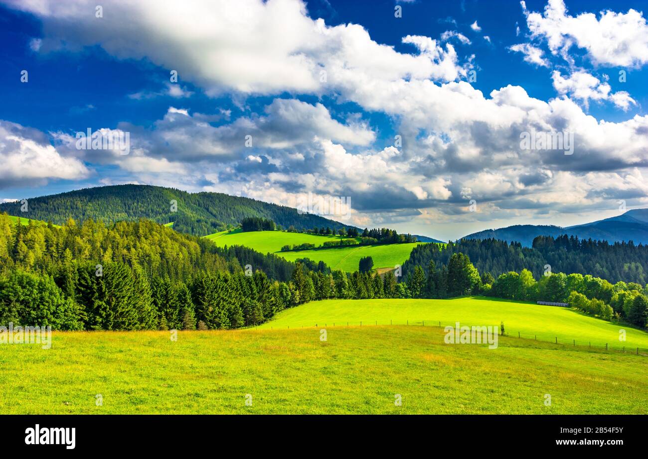Rural Landscape With Forest and Hills in Austria Stock Photo - Alamy