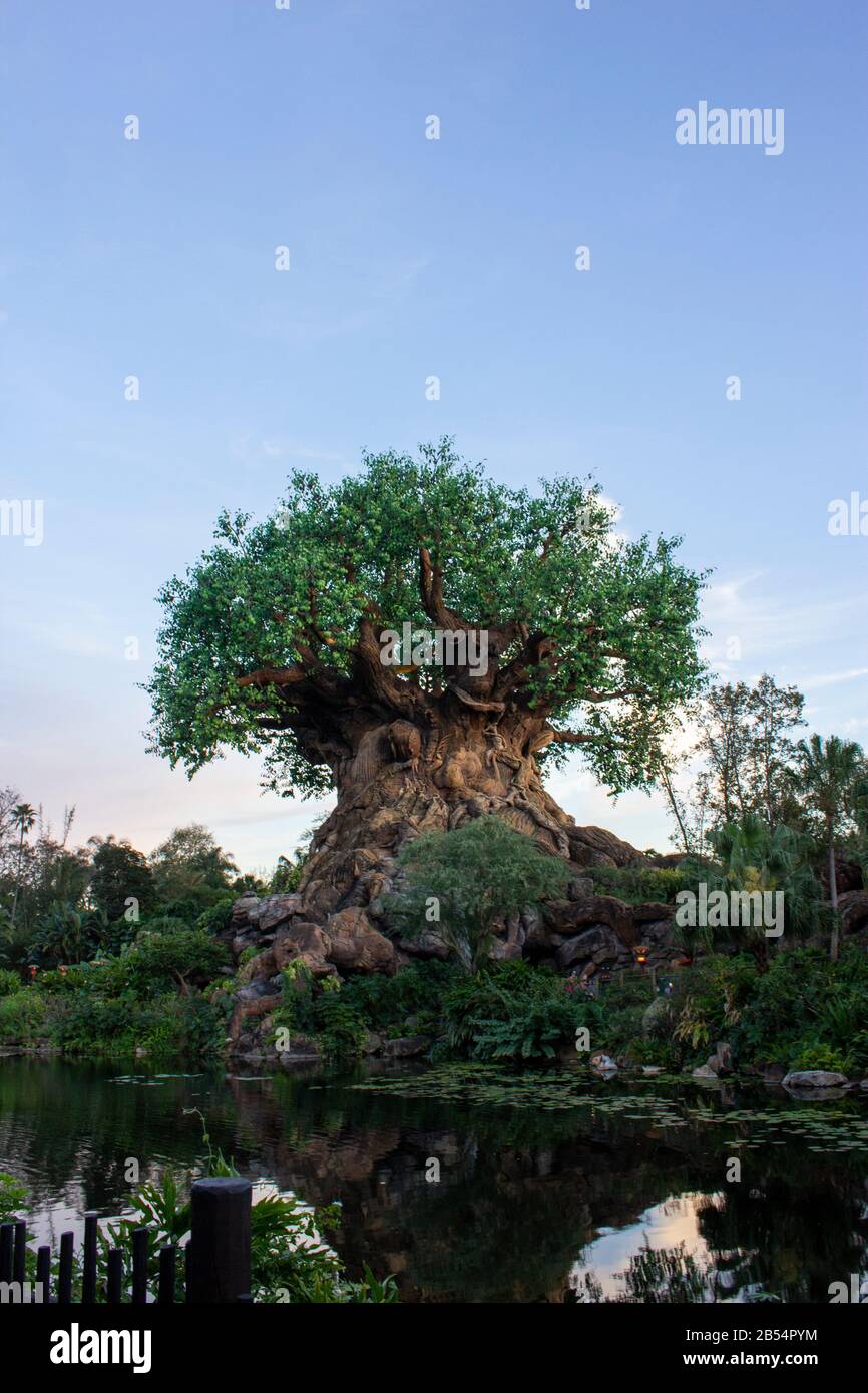 Disney world tree of life hi-res stock photography and images - Alamy