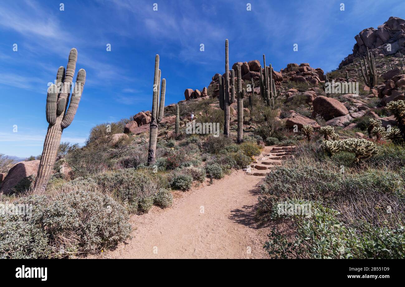 Rising Desert Hiking Trail In North Scottsdale Arizona with rock ...