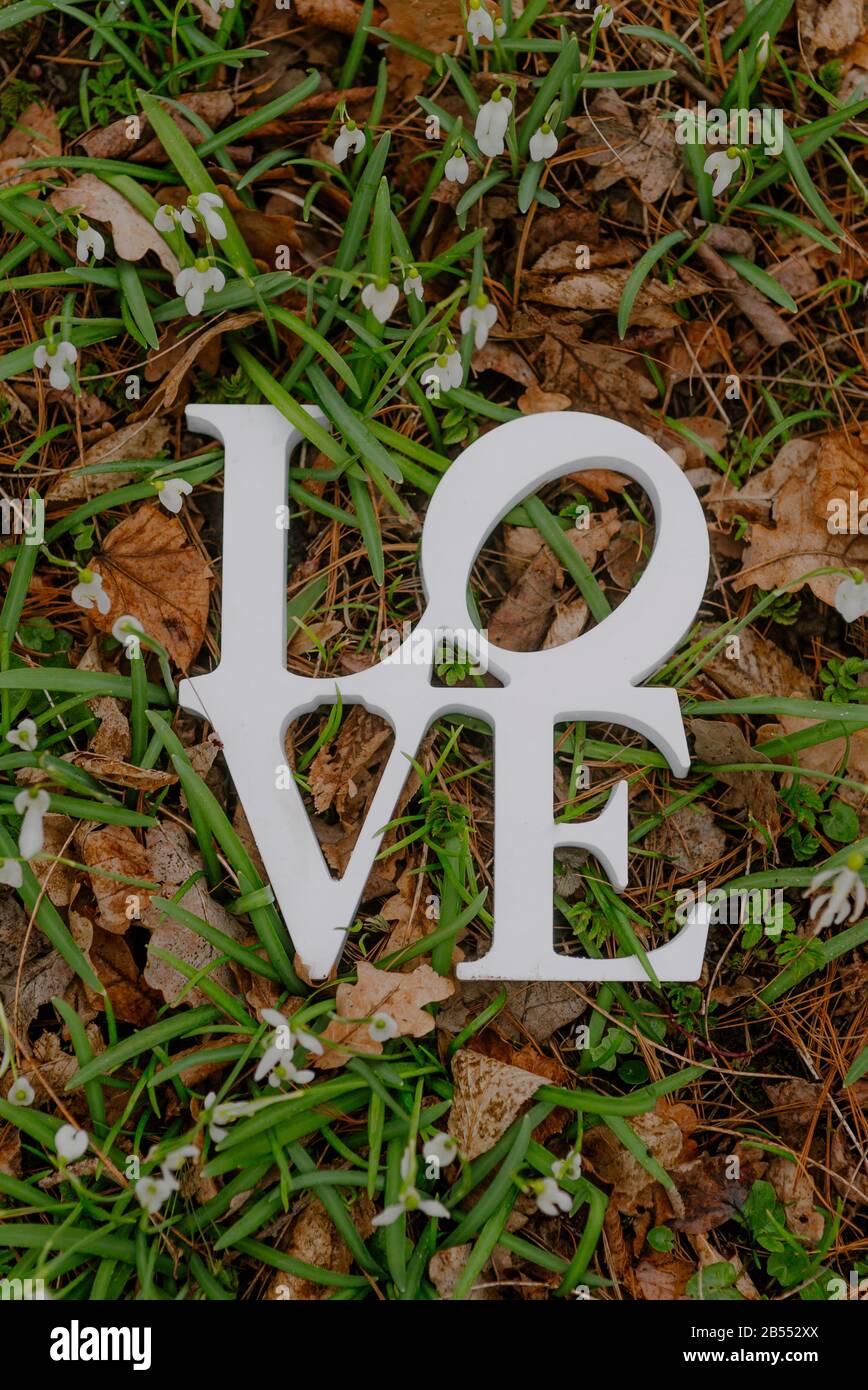 love letters inscription on ground Stock Photo - Alamy