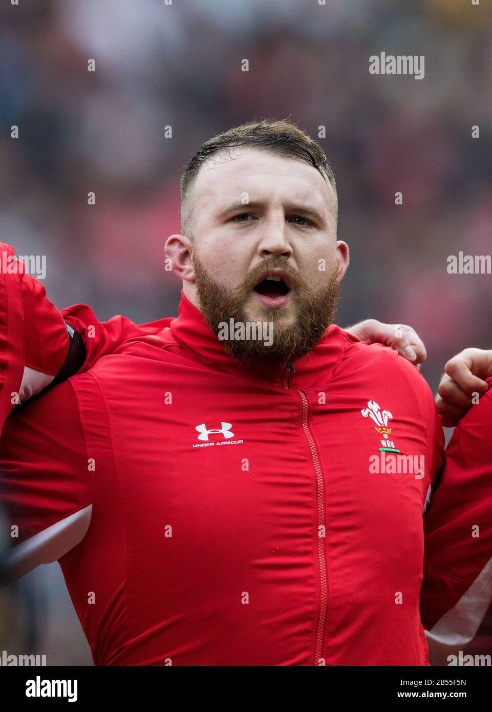 Dillon lewis hi-res stock photography and images - Alamy