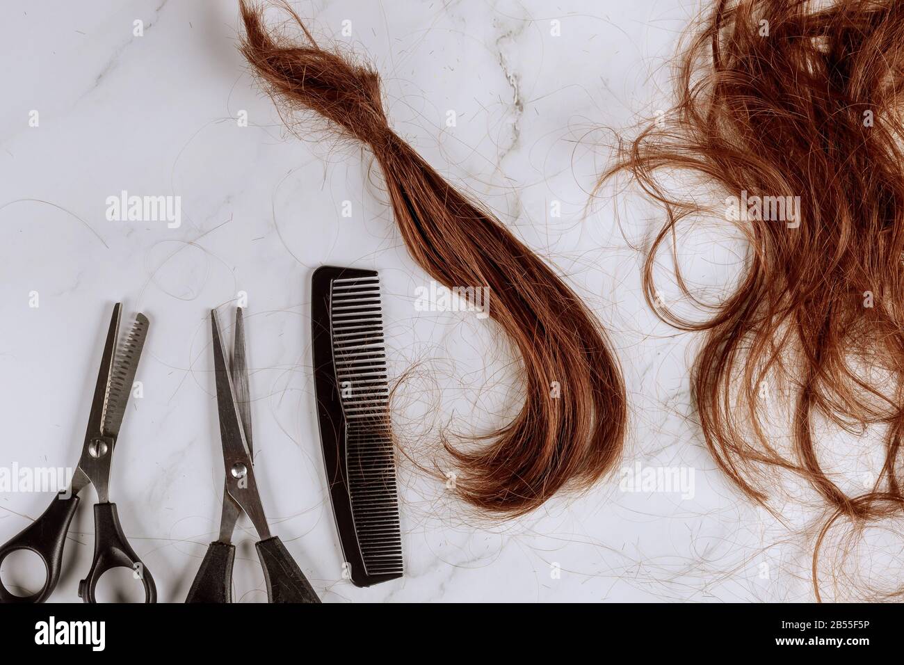 Professional scissors stylist hairdresser on hair endings trimming ...