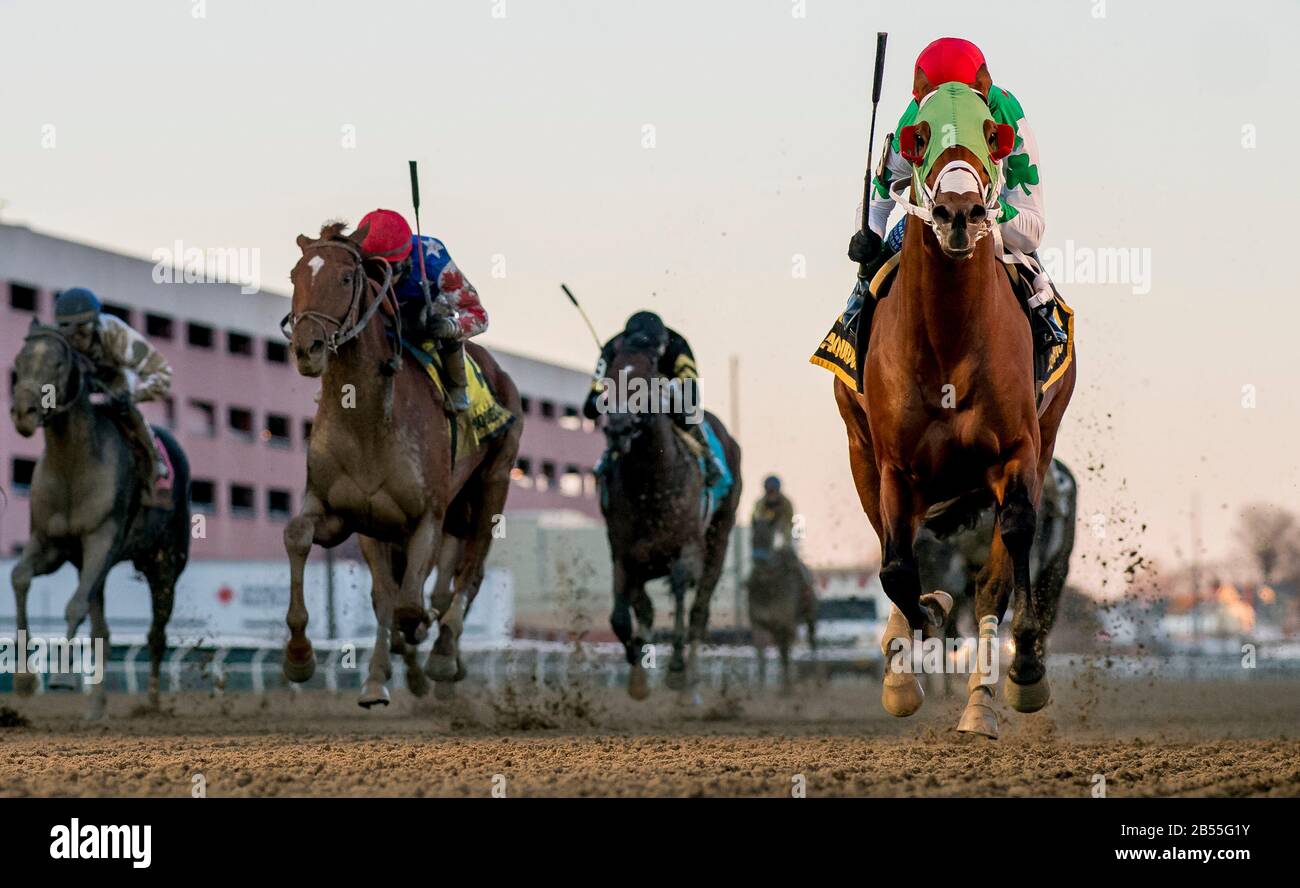 Jamaica racetrack hi-res stock photography and images - Alamy