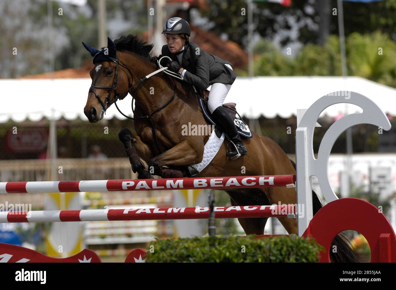 Lisa Silverman (USA) riding Flubber Cocoy, Winter Equestrian Festival ...