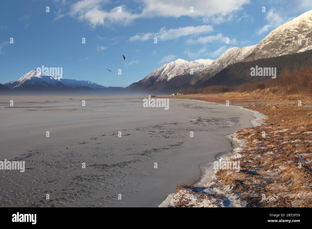 Dry Chilkat River sandy beach in Southeast Alaska near Haines with ...
