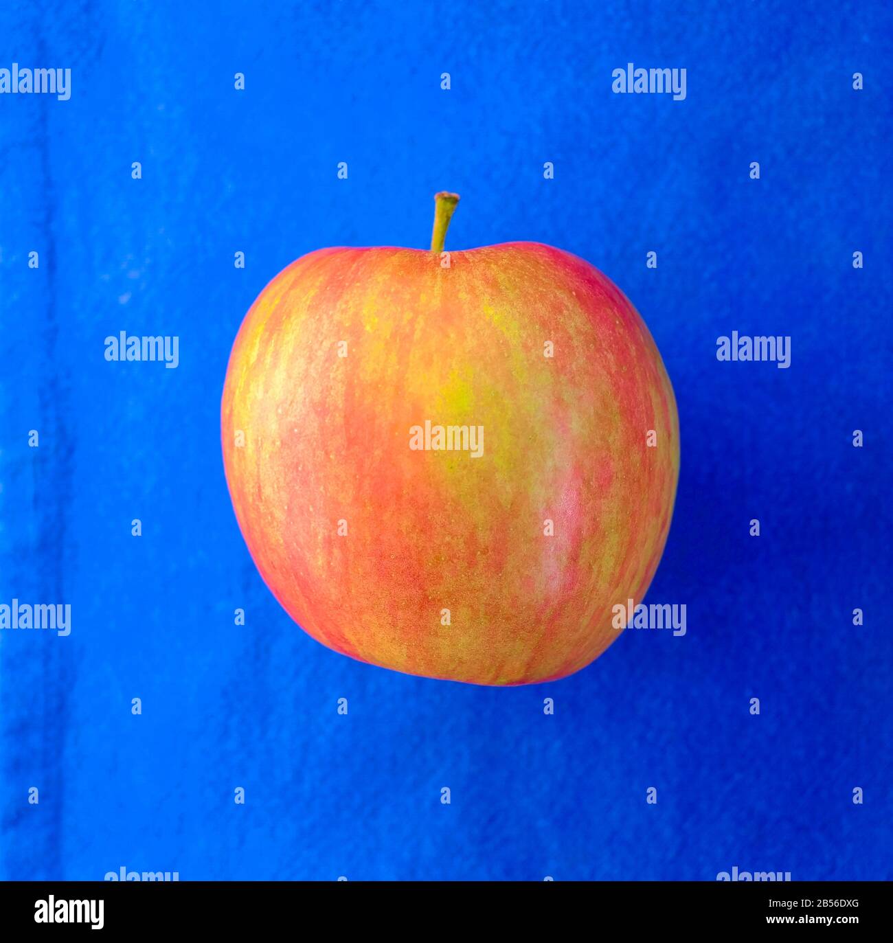 A perfect apple isolated on blue background Stock Photo - Alamy