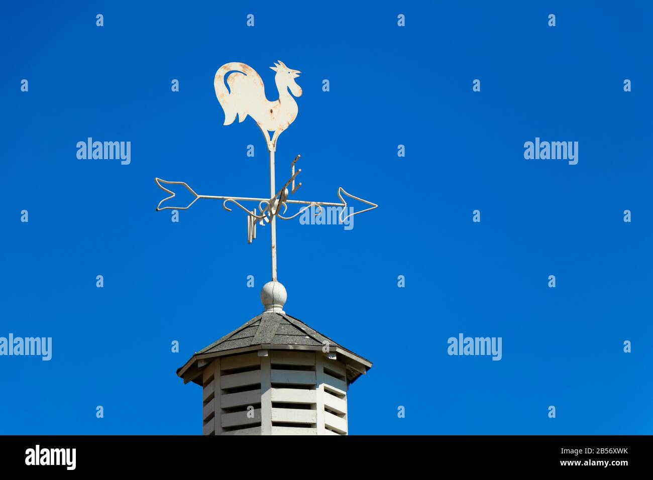 White rooster weather vane show the wind direction on blue sky ...
