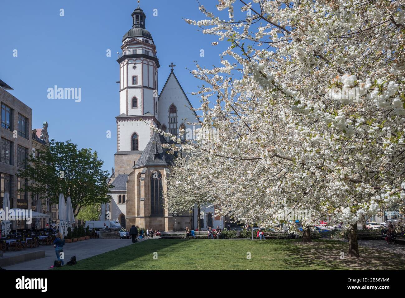 Flowering trees in spring hi-res stock photography and images - Alamy