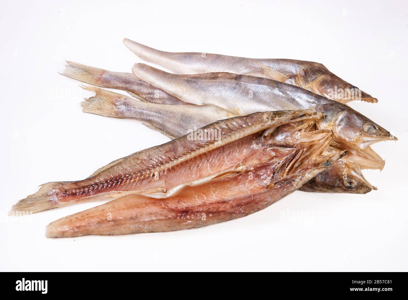 Fish on an isolated studio background Stock Photo - Alamy