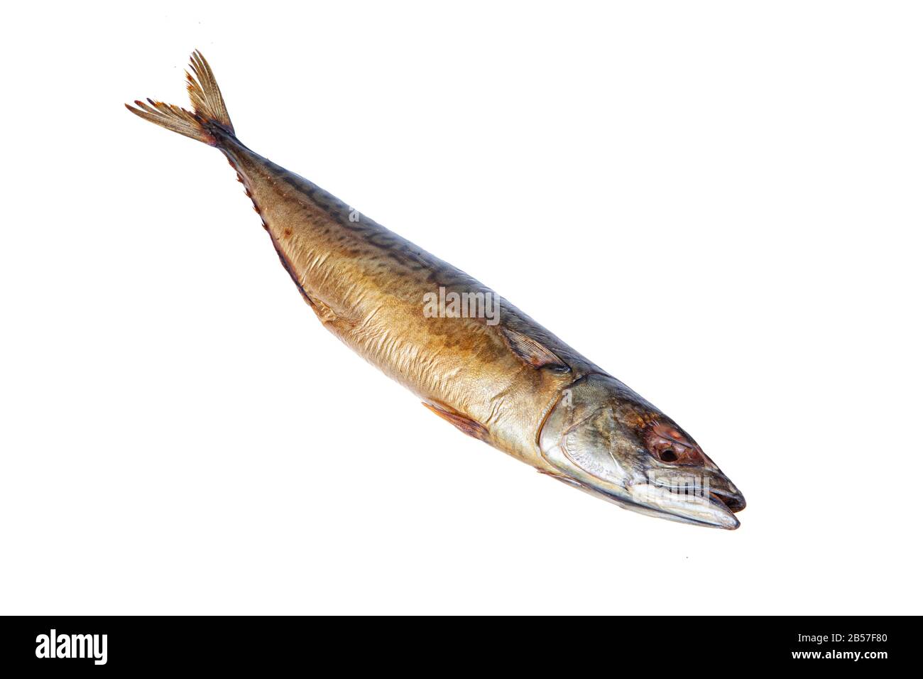 Salted fish on an isolated studio background Stock Photo - Alamy