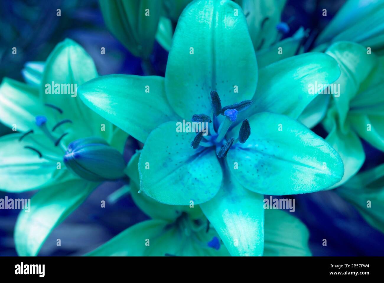 Pantone hi-res stock photography and images - Alamy