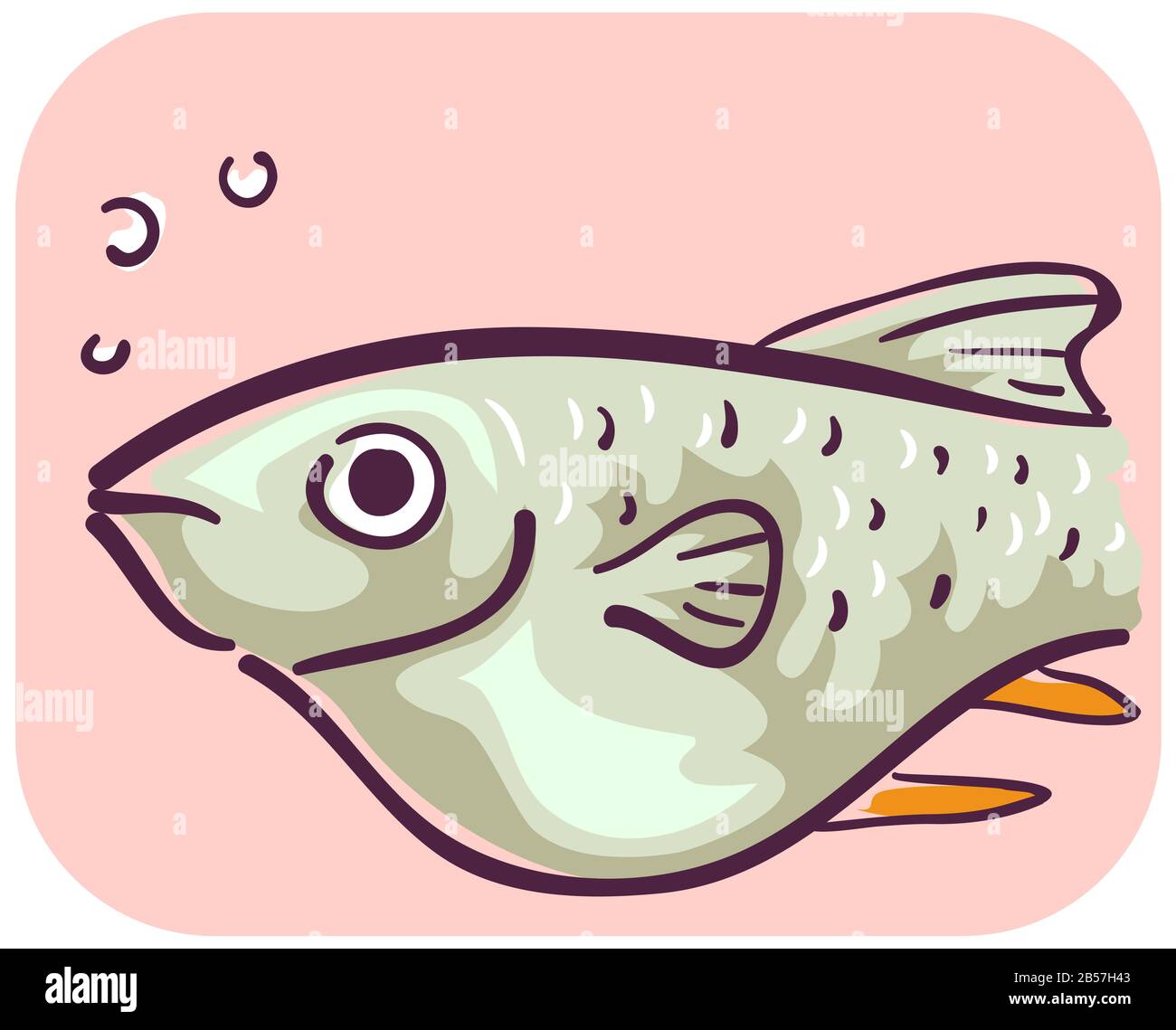 Illustration of a Barb Fish with Bloated Belly, Symptom of Constipation ...
