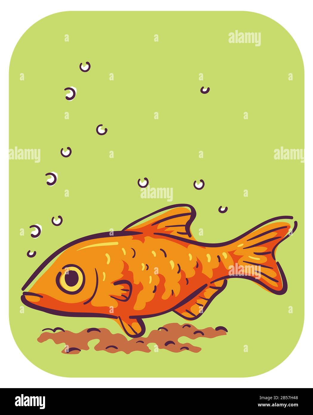 Illustration of a Barb Fish Pet Staying Down at the Bottom of Aquarium ...