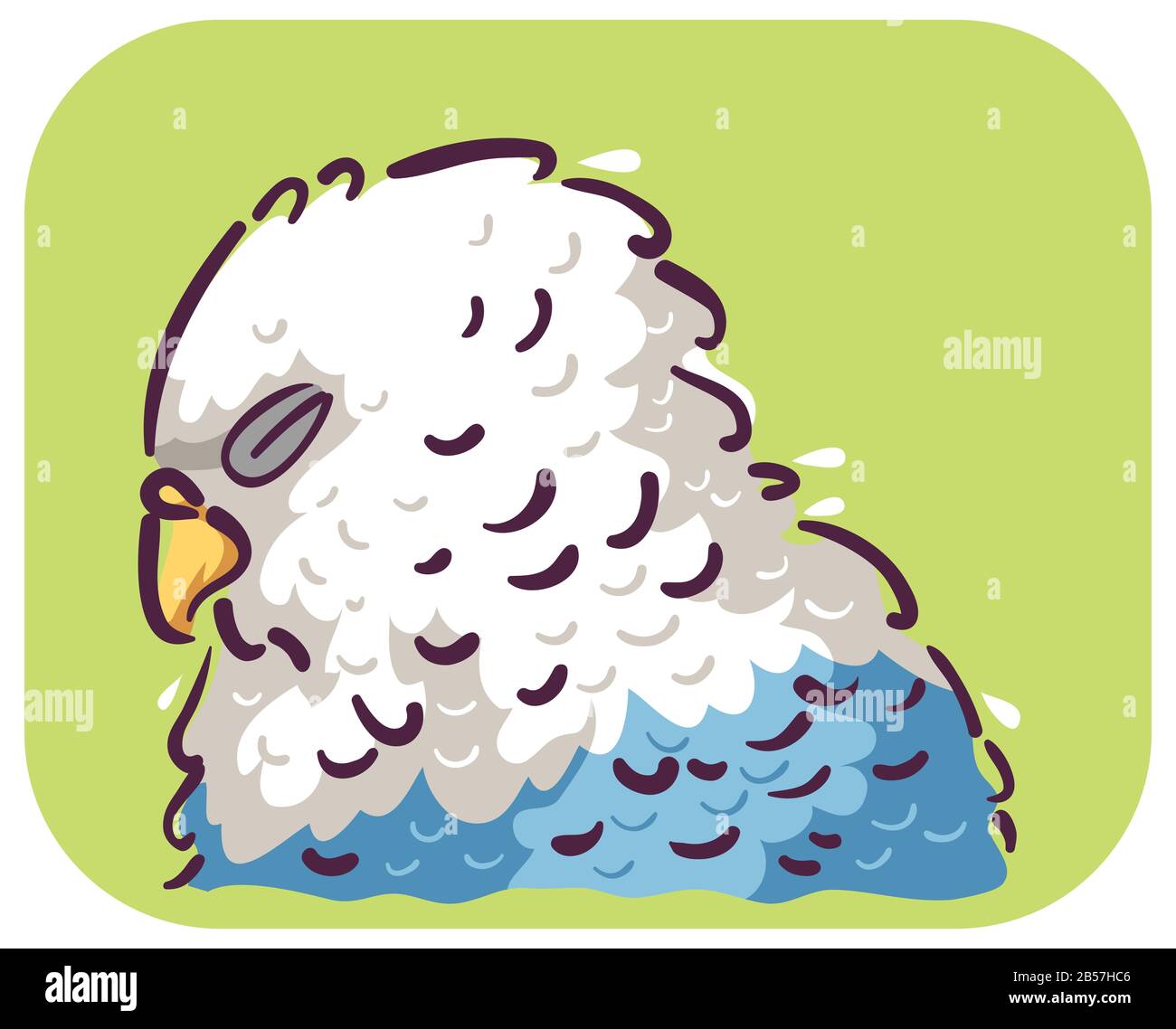 Illustration of a Parakeet Bird with Closed Eyes and Ruffled Feather ...