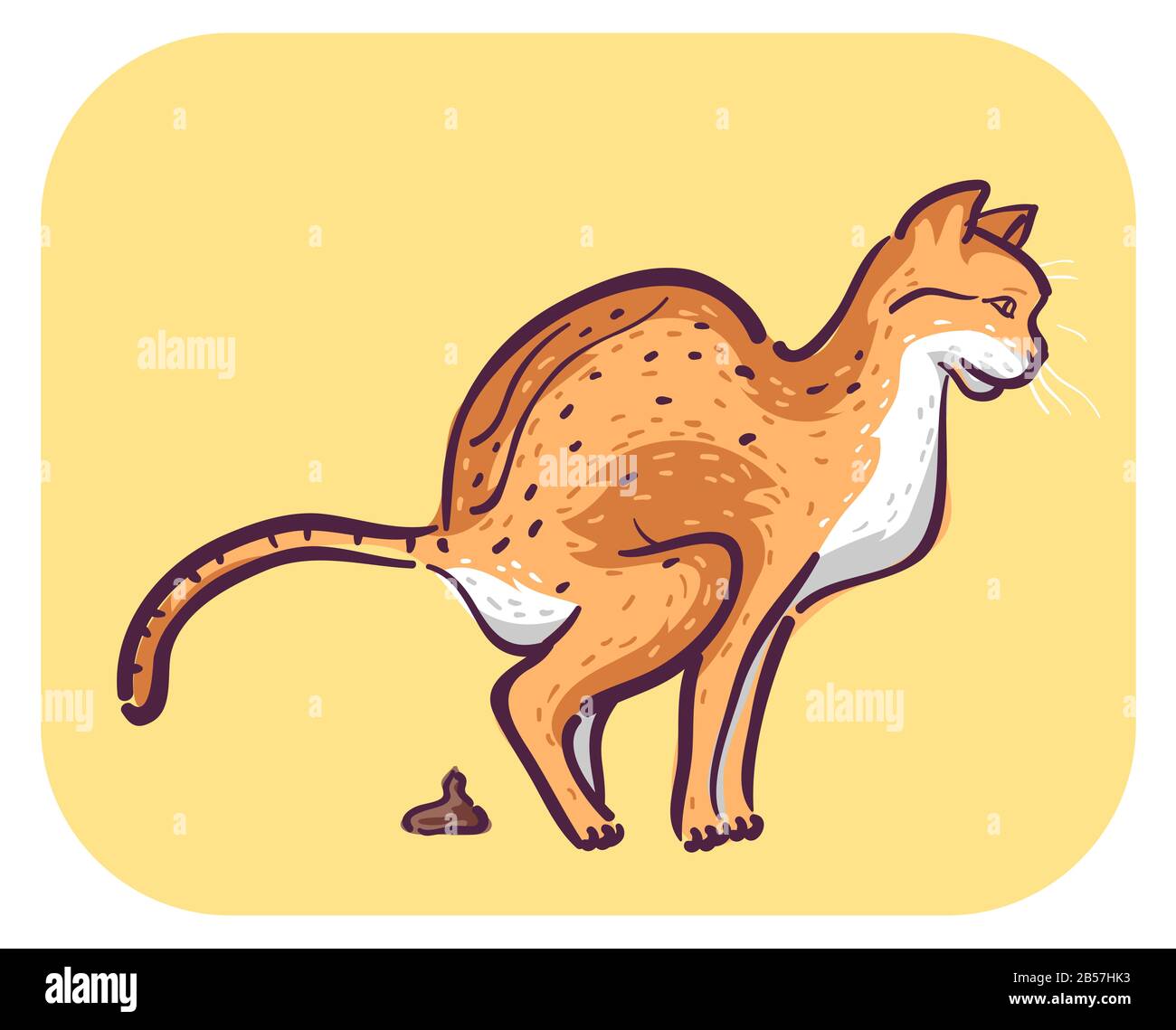 Illustration of a Pet Cat Defecating Frequently, Symptom of Illness ...