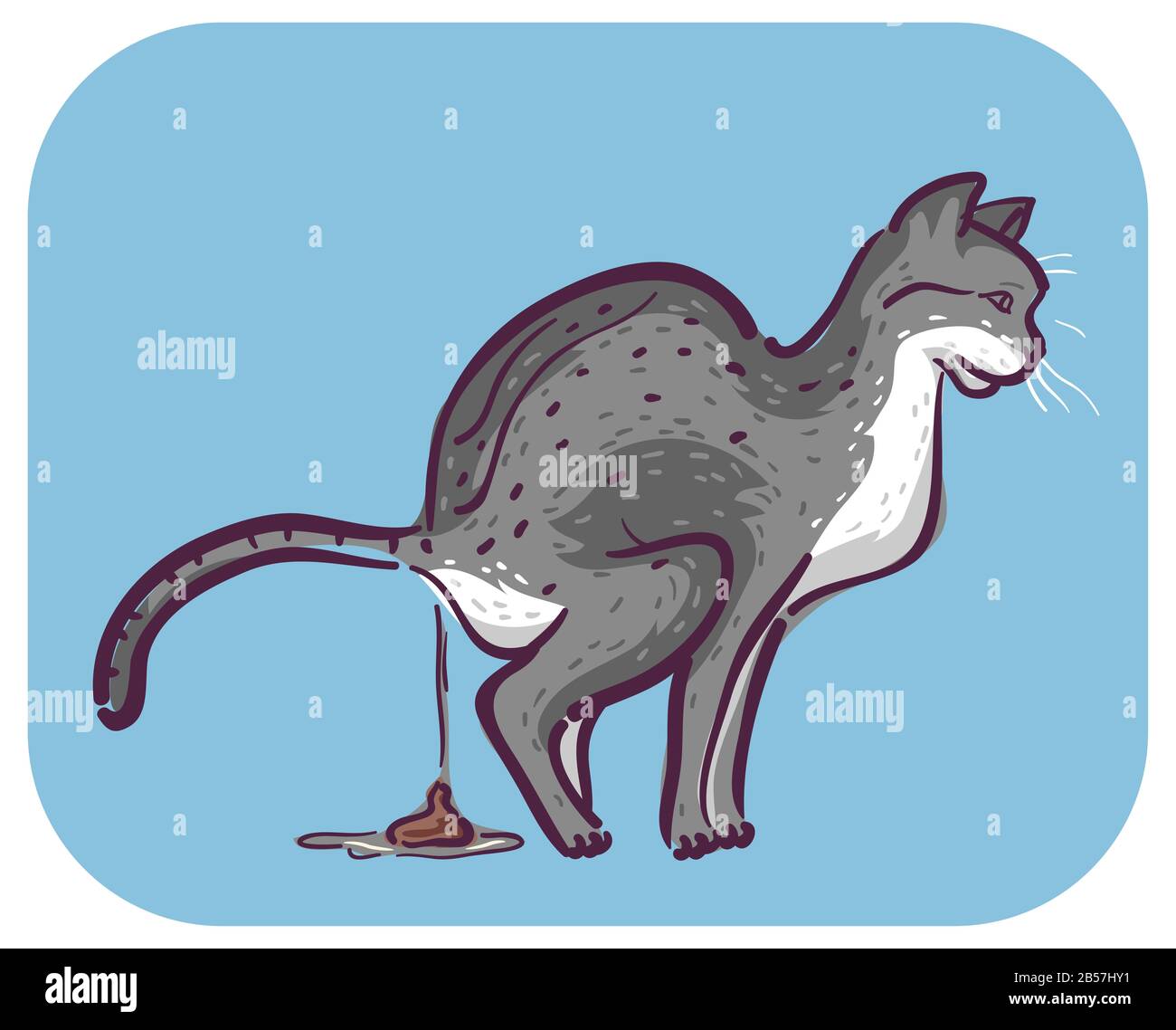 Illustration of a Cat with Diarrhea Defecating Watery Feces on the ...