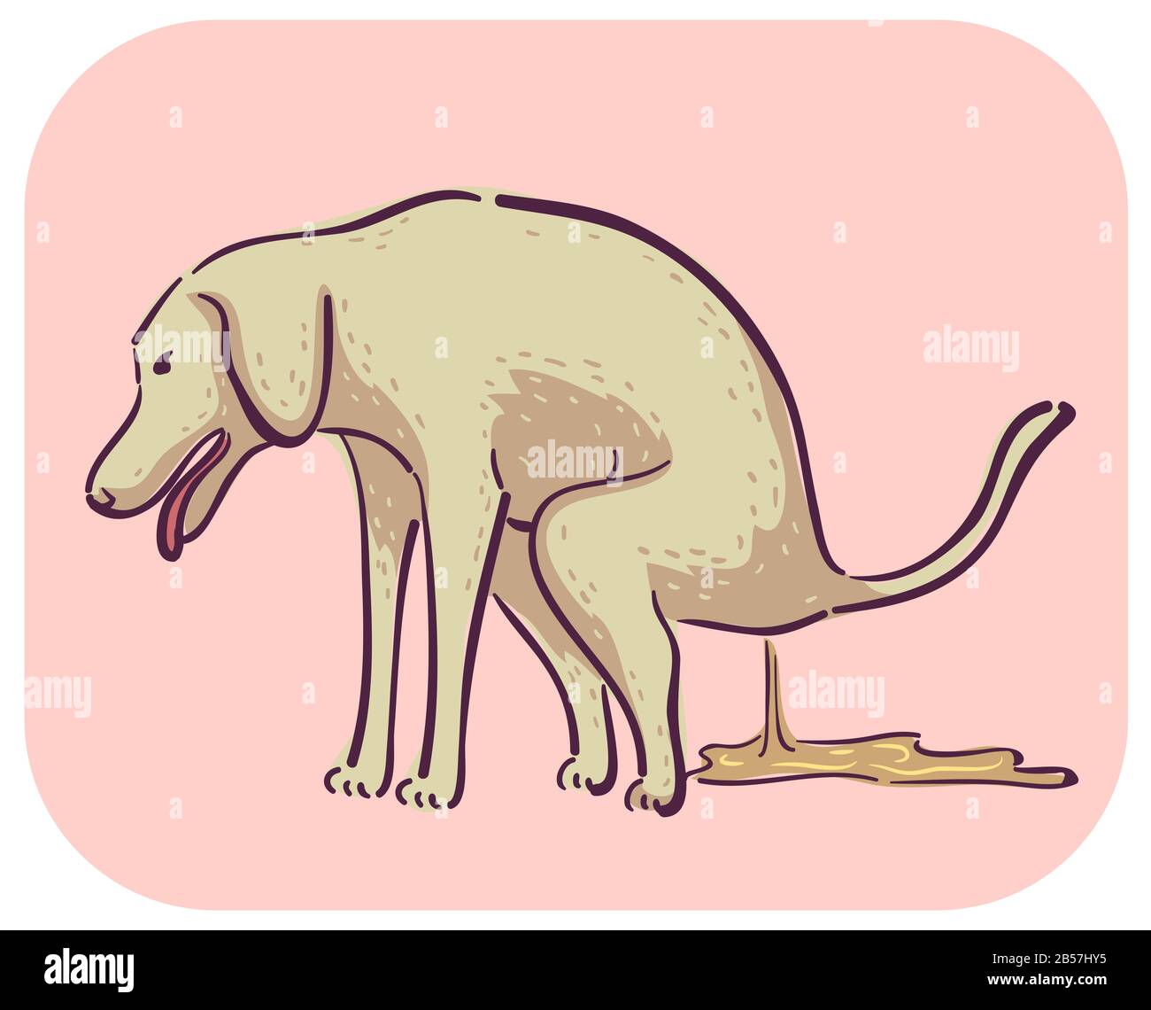 Illustration of a Dog with Diarrhea Defecating Liquid on the Floor ...