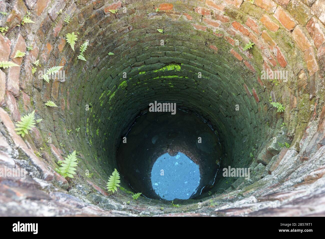 Looking Deep Down inside Old Water Well with Green Mold growing out of ...