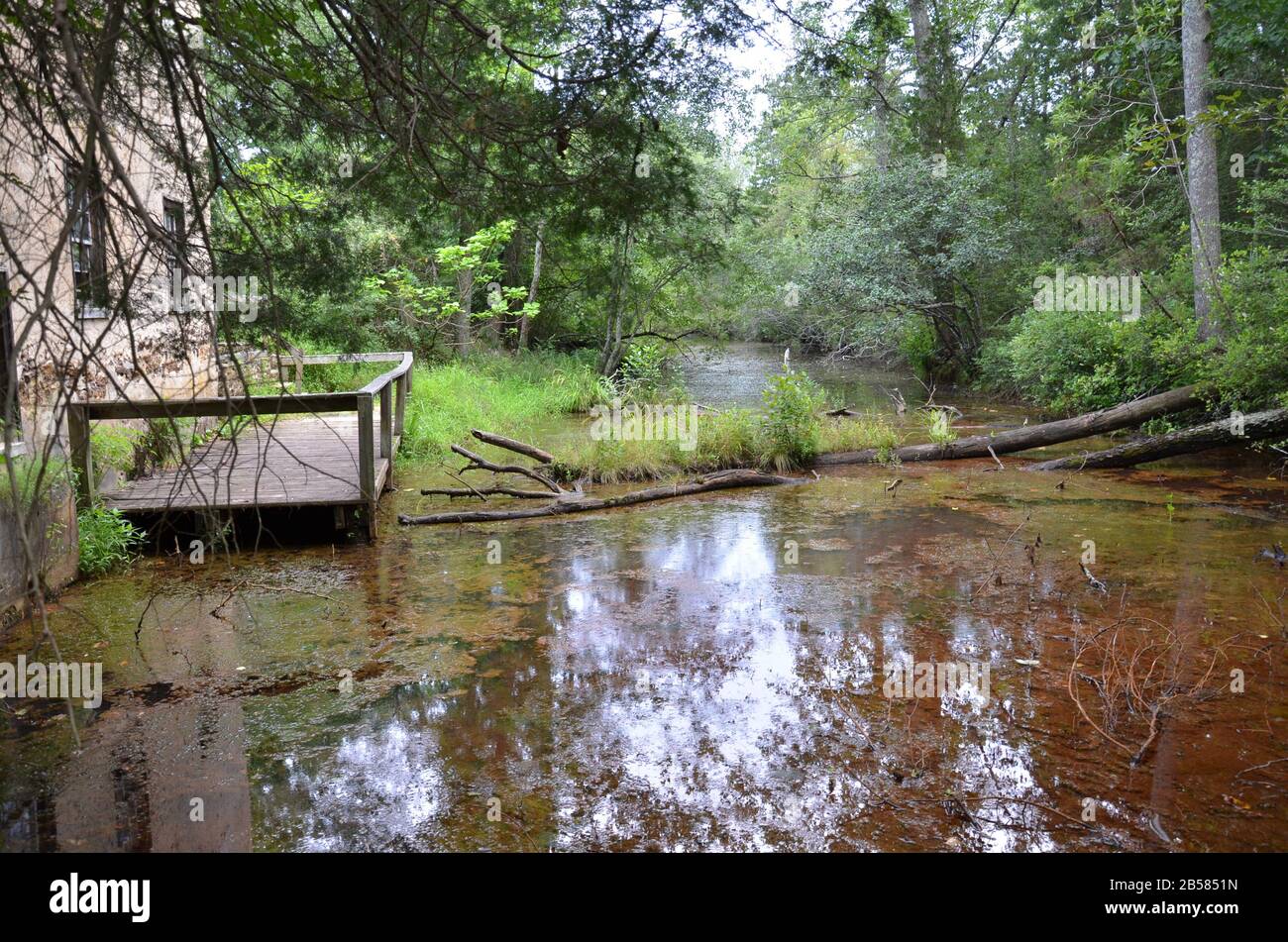 stagnant river water with wood deck and building and trees Stock Photo ...