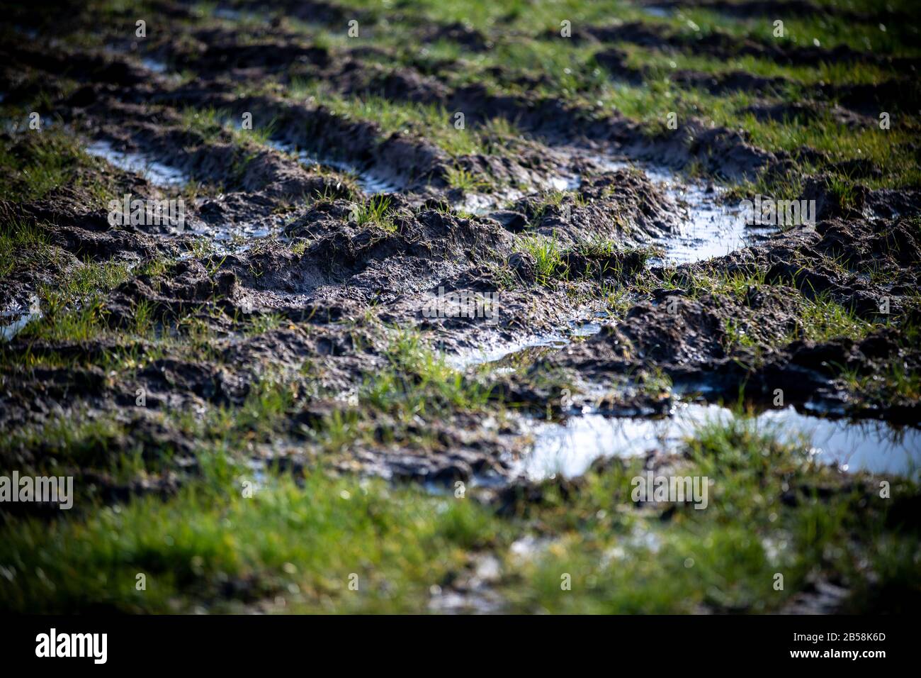 Good condition soil hi-res stock photography and images - Alamy