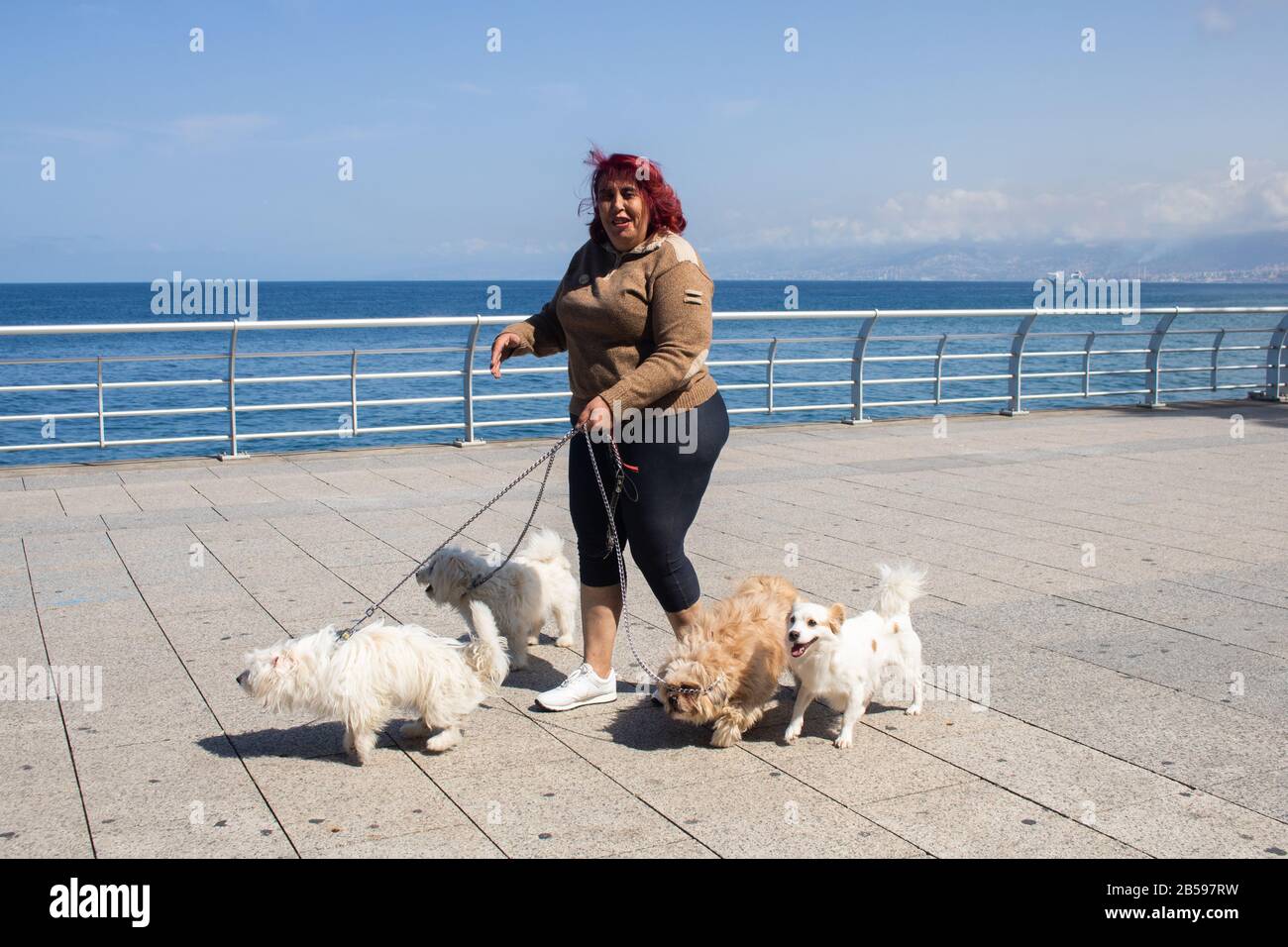 Beirut, Lebanon. 7 March 2020: A woman walking her dogs on Beirut ...