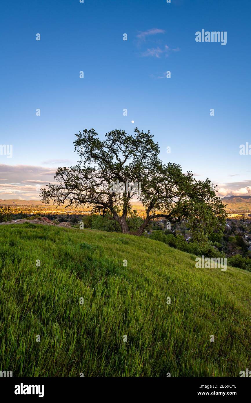 Dinosaur Hill Park at Dusk Stock Photo - Alamy