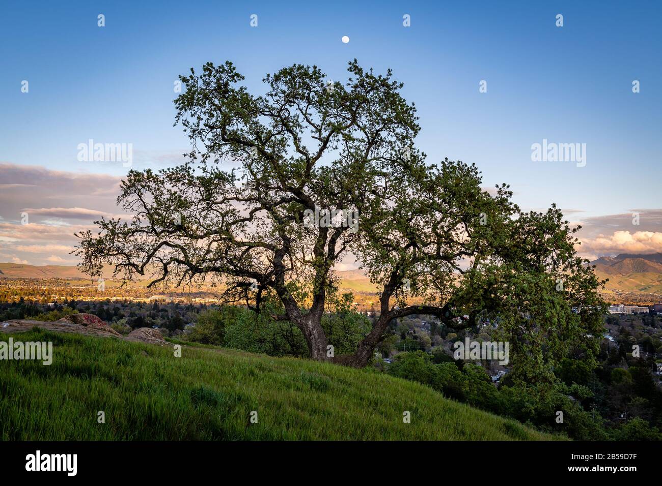 Dinosaur nature trail hi-res stock photography and images - Alamy