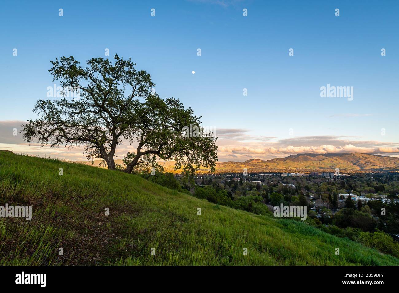 Dinosaur Hill Park at Dusk Stock Photo - Alamy