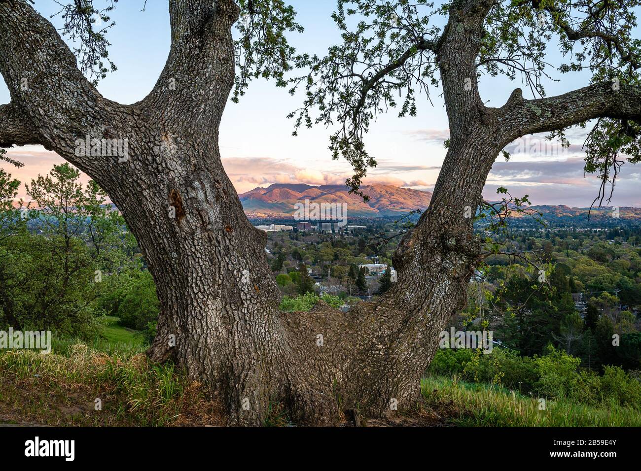 Dinosaur Hill Park at Dusk Stock Photo - Alamy